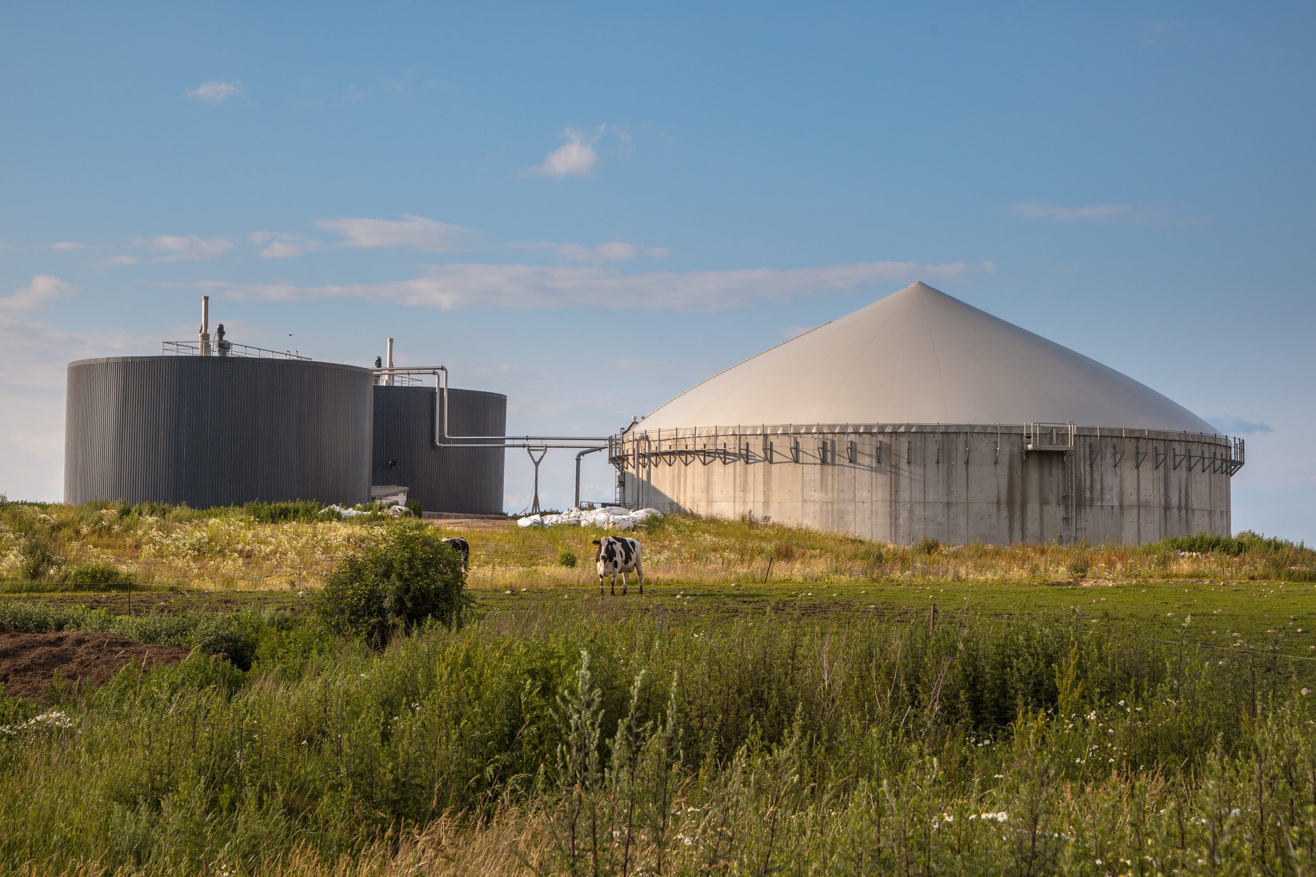 Un savoir-faire - IFIP