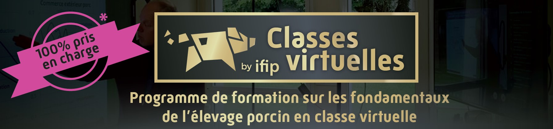Classes virtuelles by IFIP - IFIP