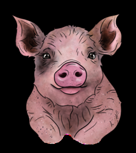 La Cryobanque Nationale : un outil de gestion de la diversité génétique ...