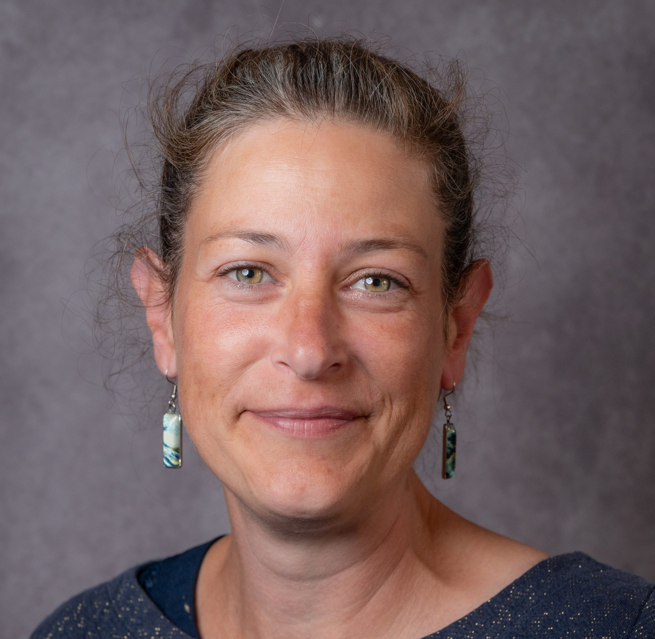Catherine VIAUD - IFIP