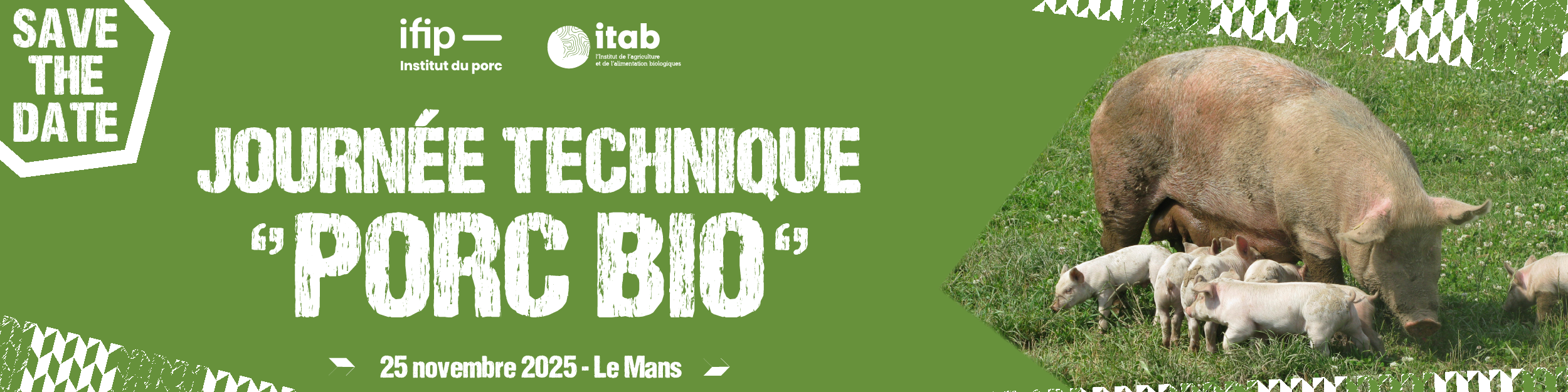 Journée Technique Porc Bio 2025 (IFIP / ITAB) - IFIP