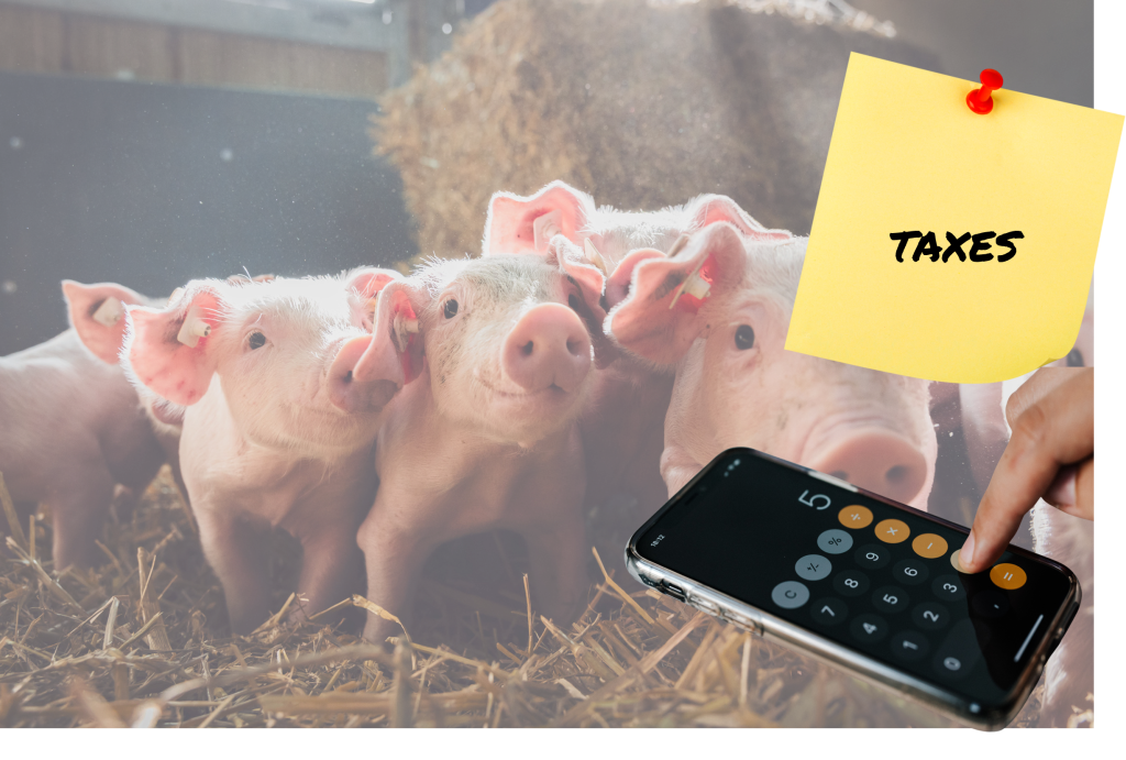 Point de vue : sanctions chinoises antidumping contre le porc européen ...